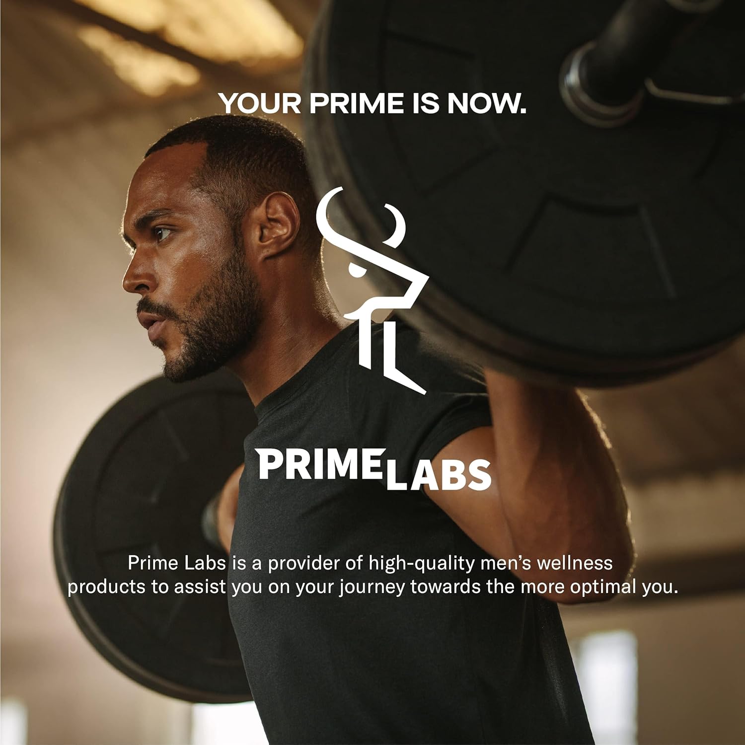 Prime Test: Natural Testosterone Booster from Prime Labs – Prime Labs ...